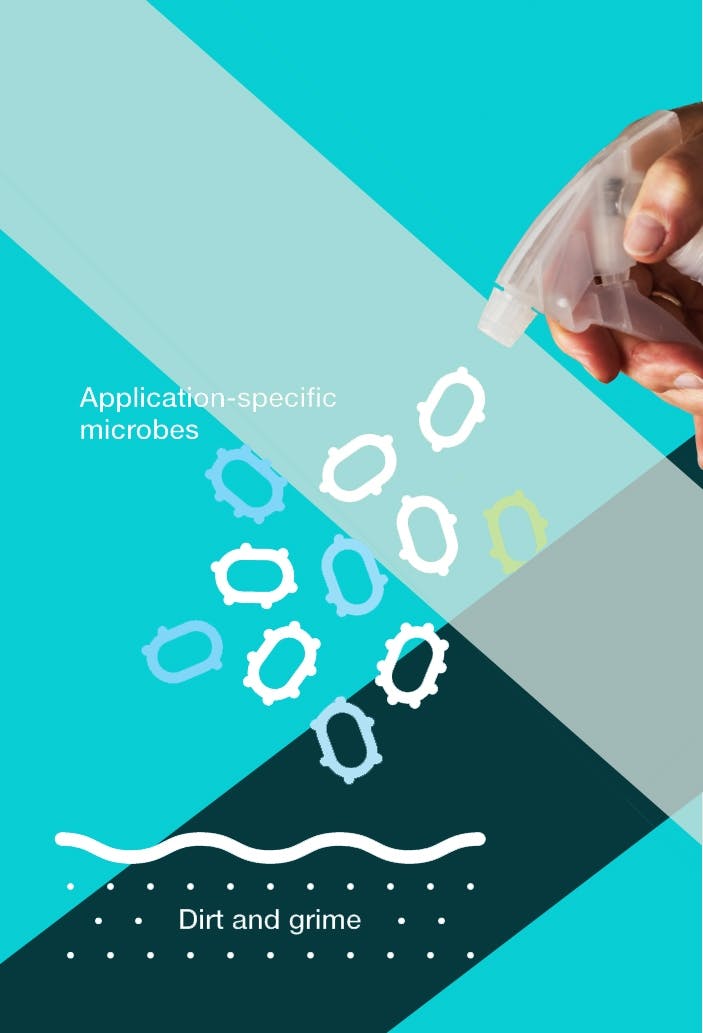 Sustainable Cleaning with Probiotics – Safe… | JK Building Wellness